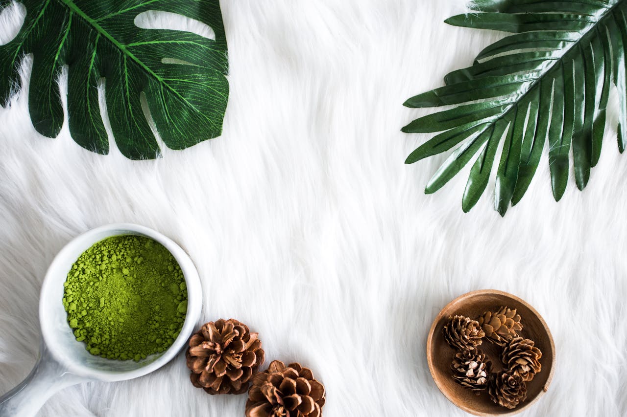 Moringa - co to jest? Jakie ma właściwości herbata Moringa? | Blog 2026 ...